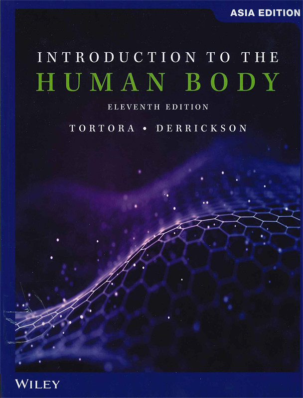 Introduction to the human body